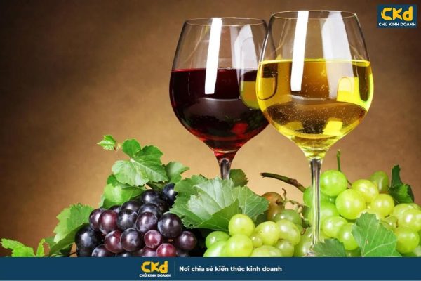Rượu vang là gì? Tất tần tật những điều cần biết về rượu vang